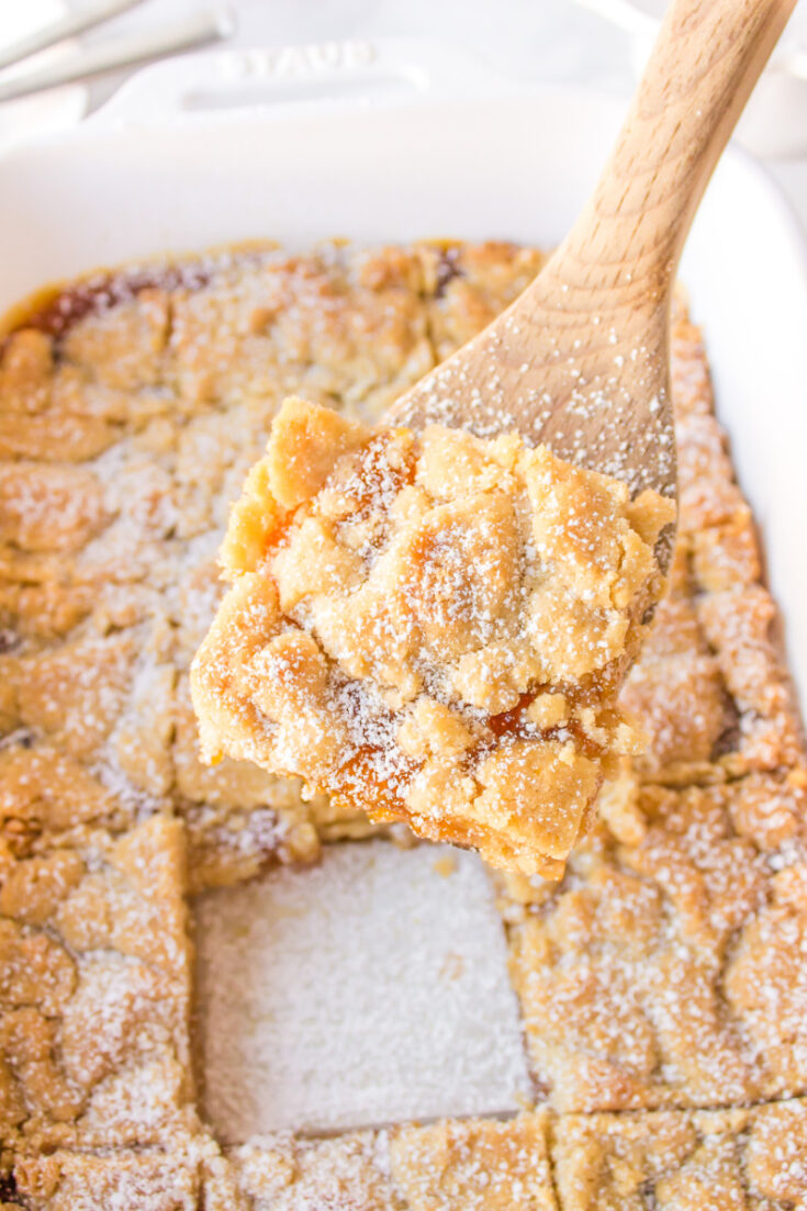 Apricot Shortbread Bars - Recipes For Holidays