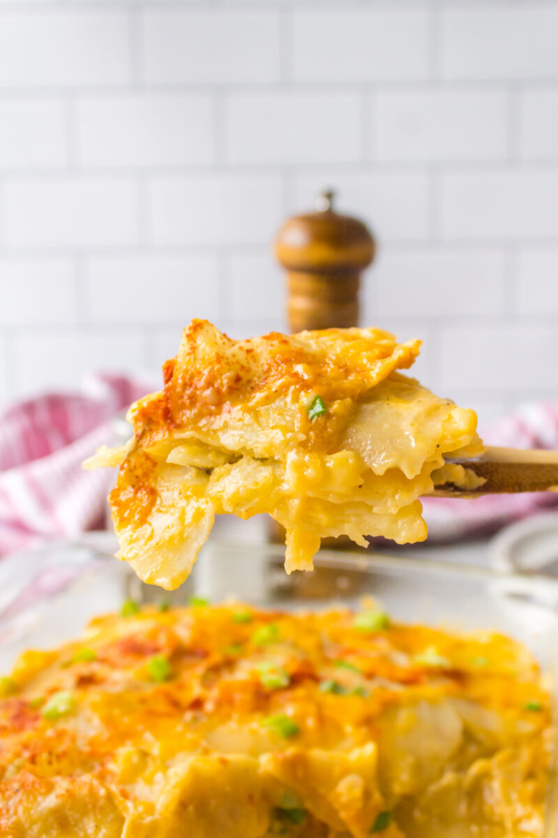 Microwave Scalloped Potatoes - Recipes For Holidays