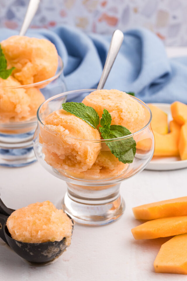 Melon Sorbet - Recipes For Holidays